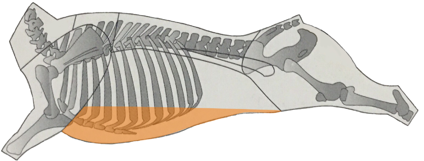 牛腩肉(Thin Flank)(需等待需預訂) | 御牧牛